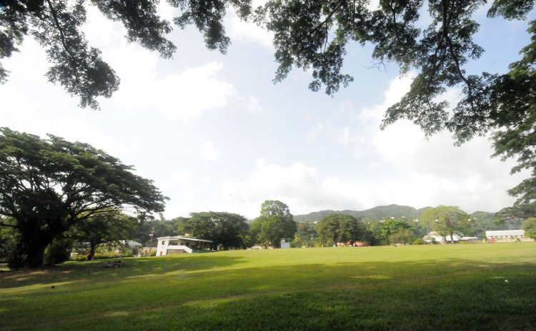 Beauty and life in Dominica's Botanic Gardens